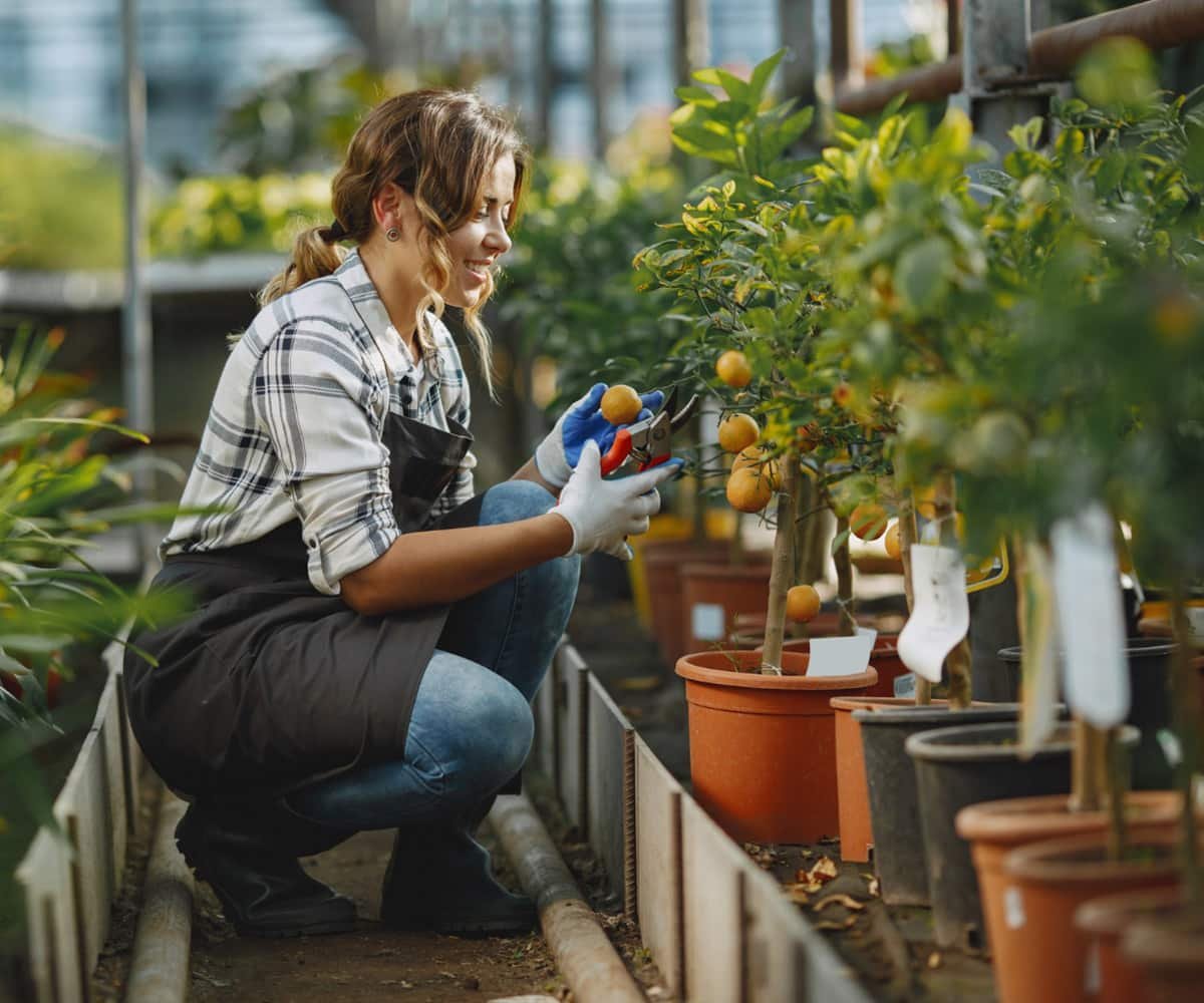 A Beginner’s Guide for Managing a Successful Farm - manko-invest.sn